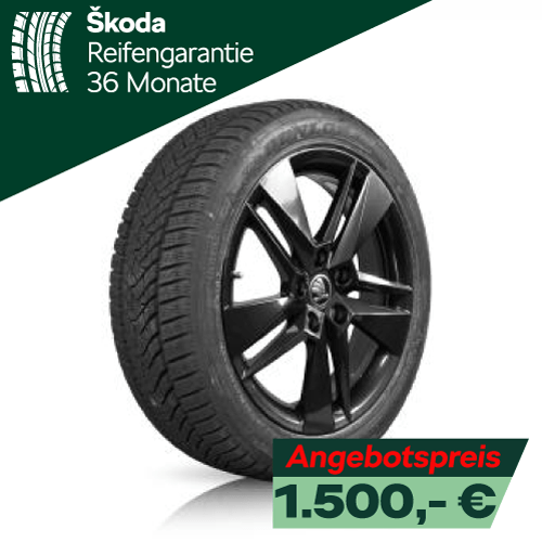 Škoda Original Winterreifen und Felgen